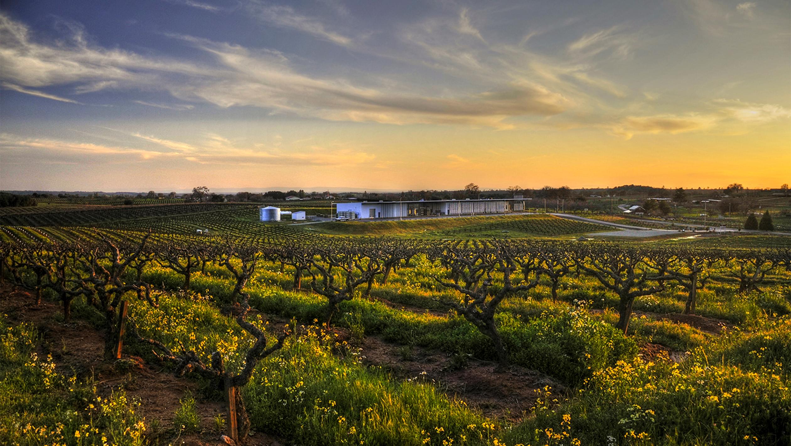 Why Many of California’s Best-Known Winemakers Flock to Amador County ...