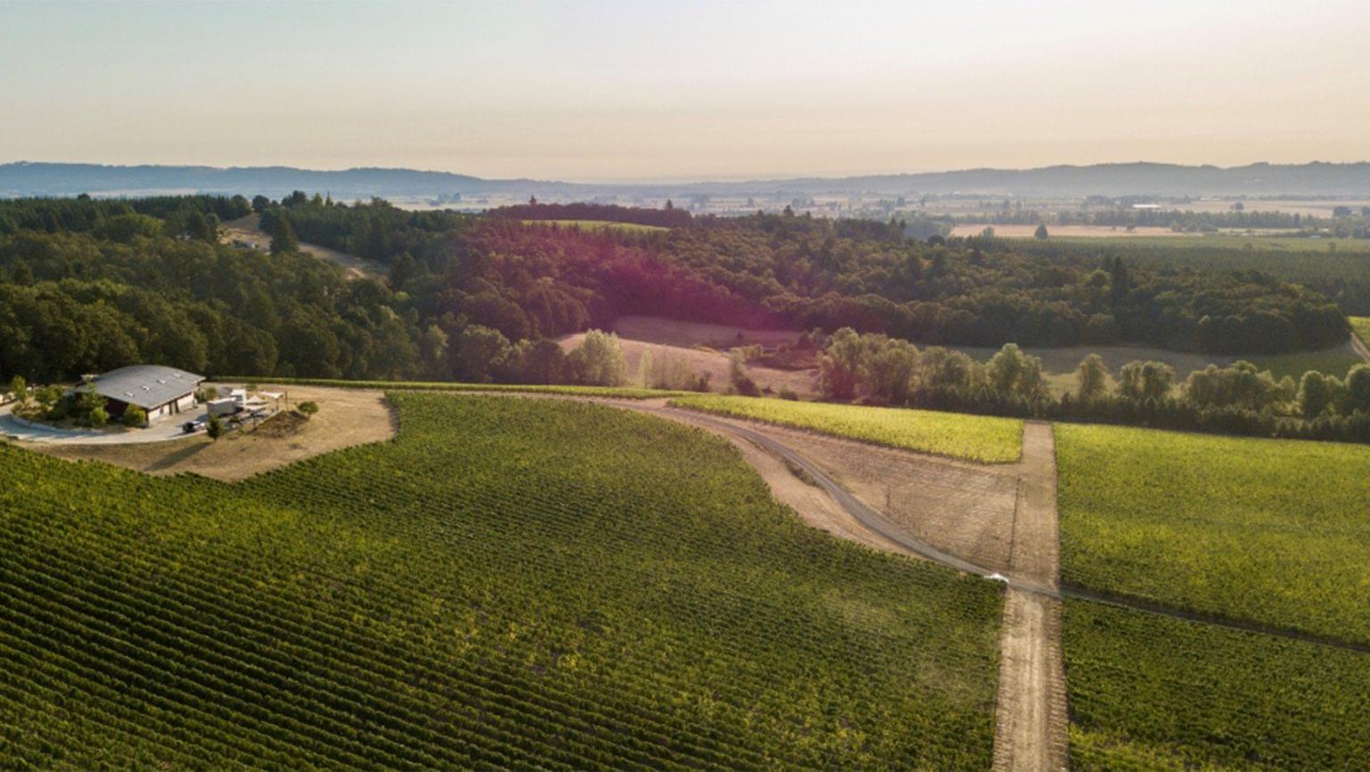 What You Need to Know About the New West Coast AVAs | SevenFifty Daily