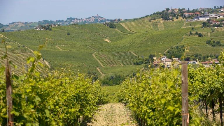 Italy’s Unexpected New Hub for High-Quality Riesling | SevenFifty Daily