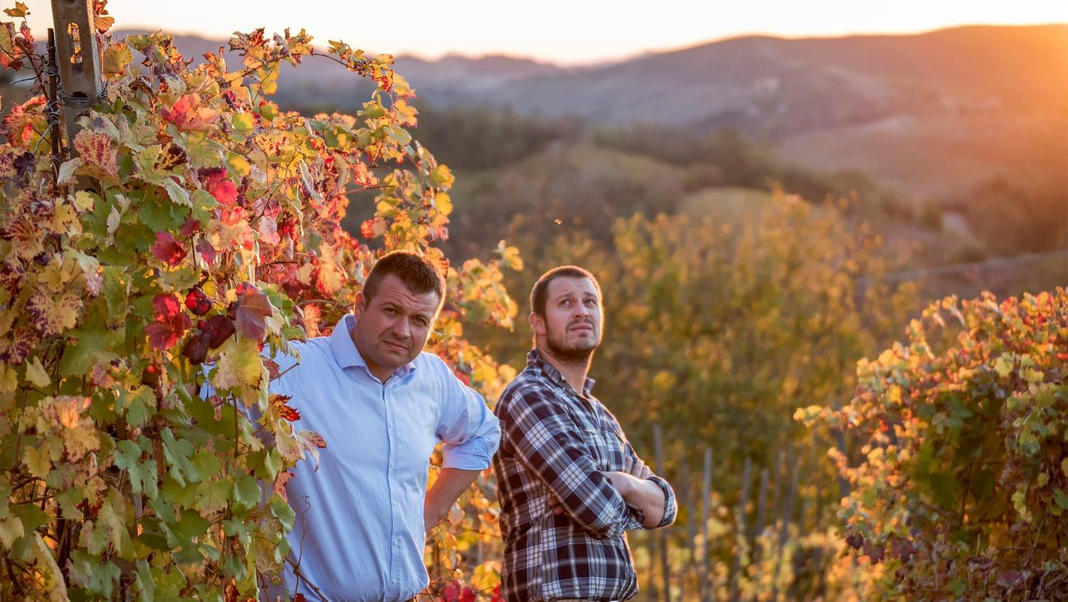 Italy’s Unexpected New Hub for High-Quality Riesling | SevenFifty Daily