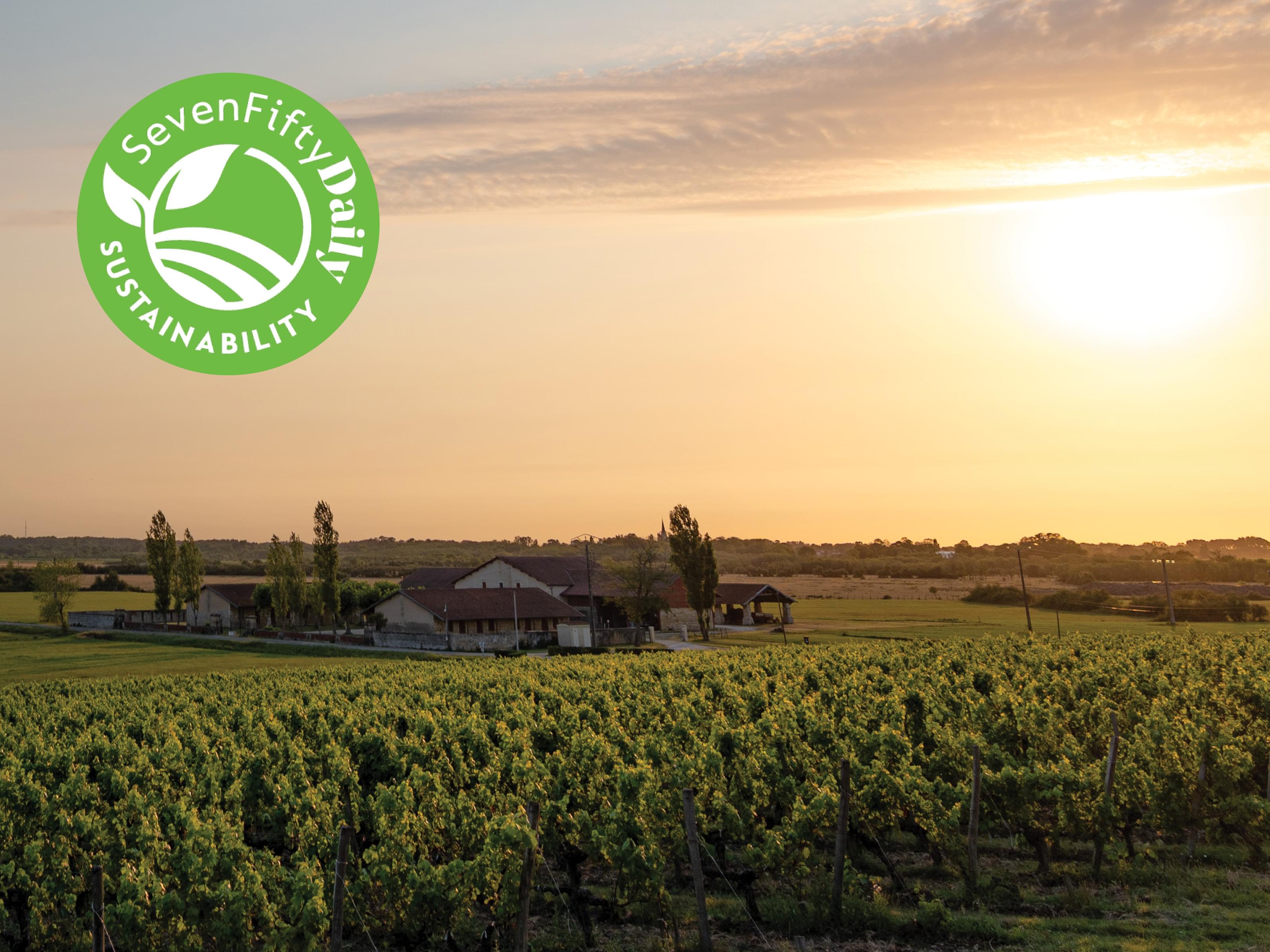 Sustainability Hub | SevenFifty Daily