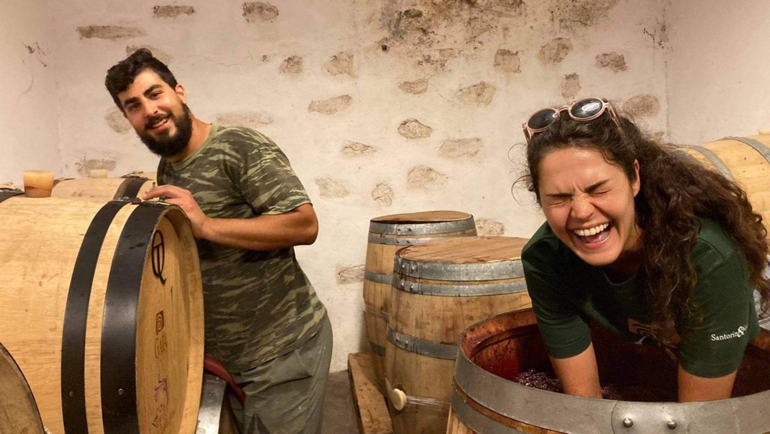 Are Island Wine Regions Under Threat? | SevenFifty Daily