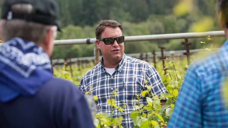 How the Wente Clone Came to Define California Chardonnay | SevenFifty Daily