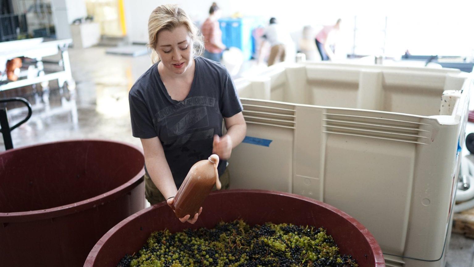 The Science of Grape Co-Fermentation | SevenFifty Daily