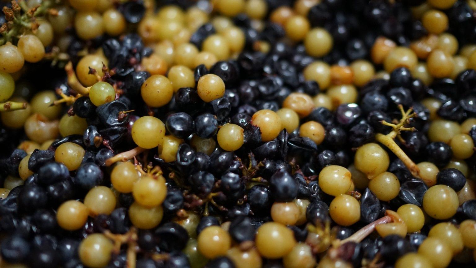 The Science of Grape Co-Fermentation | SevenFifty Daily