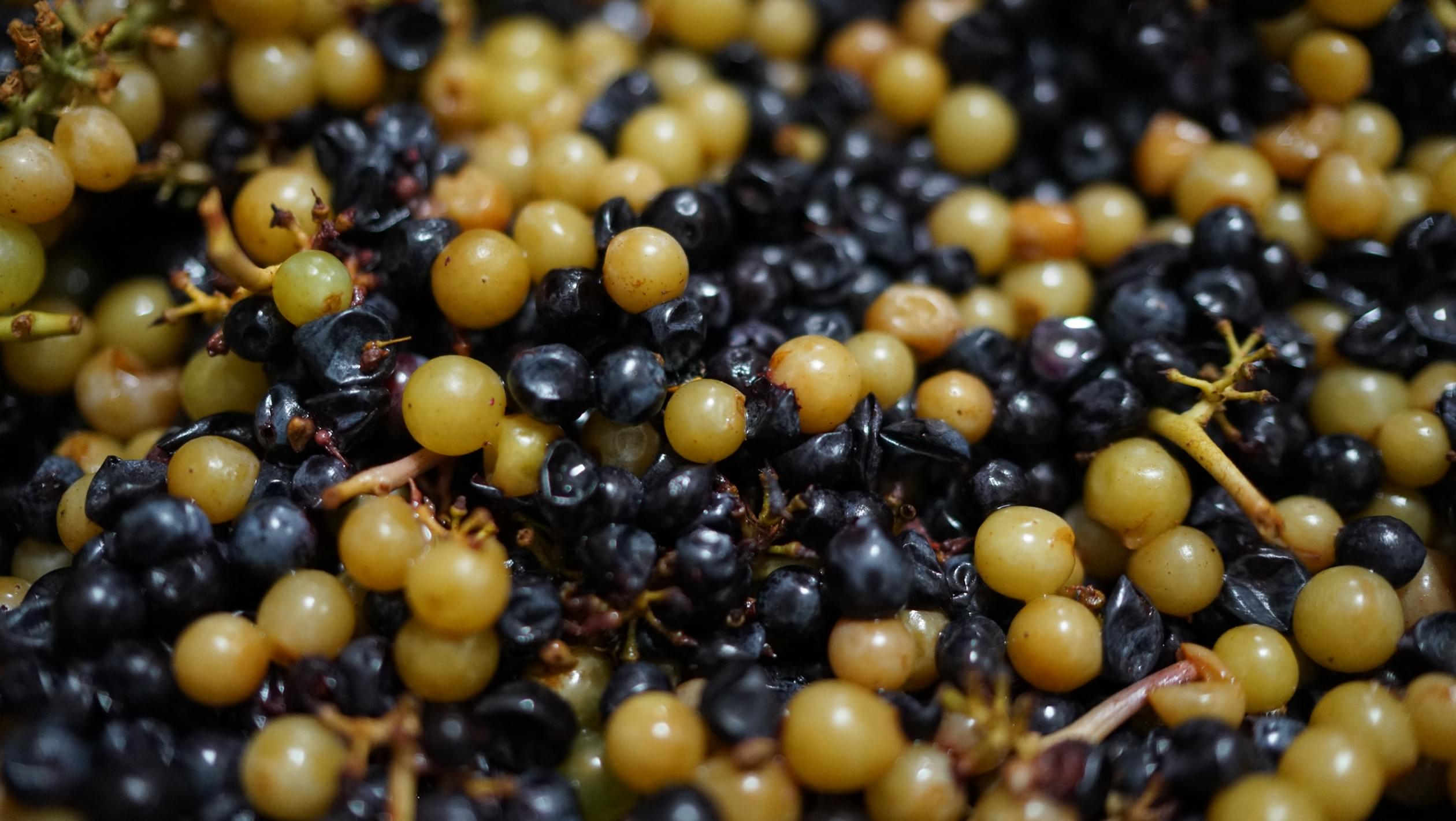The Science of Grape Co-Fermentation | SevenFifty Daily