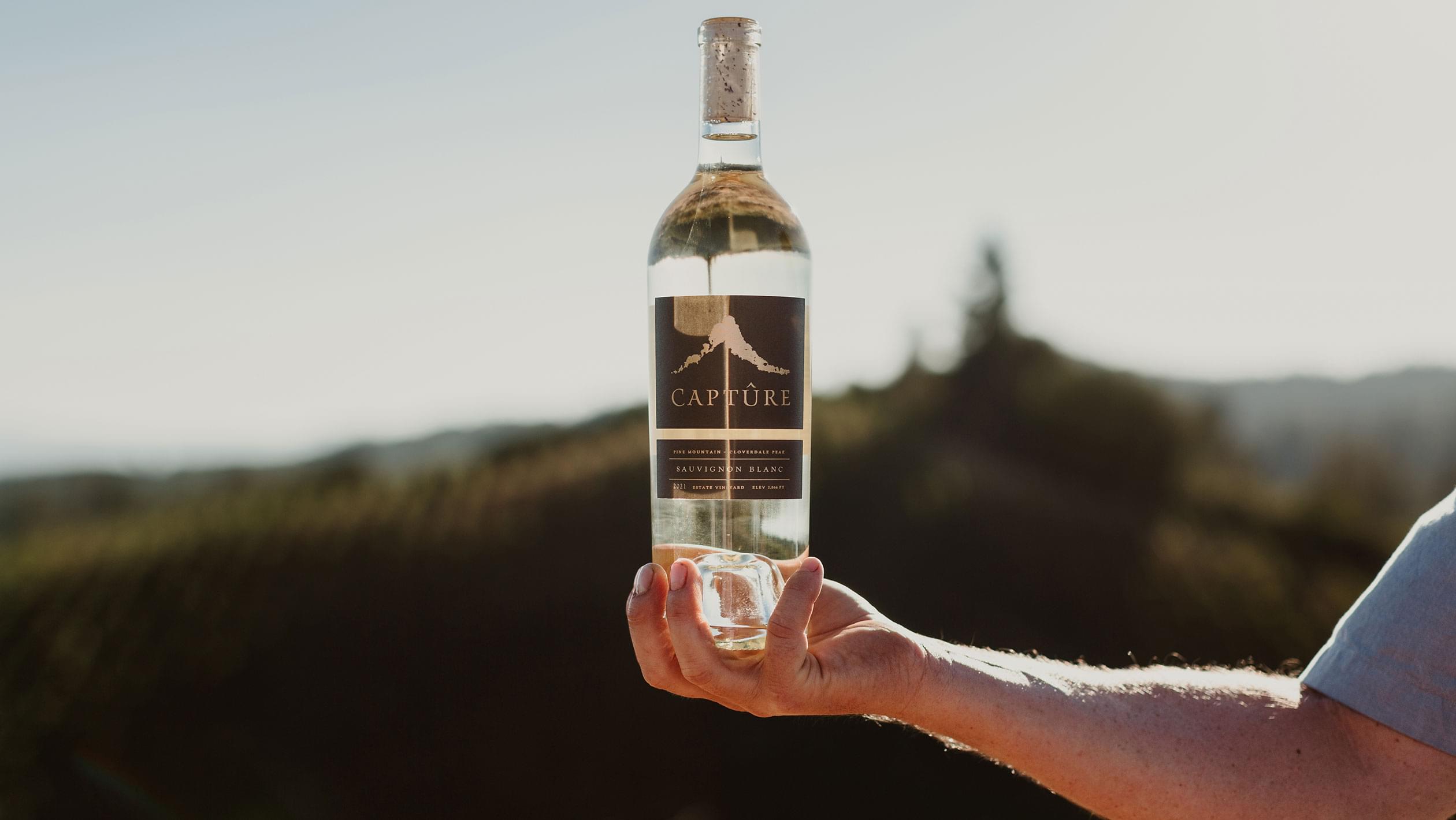 Understanding the Impact of Atmospheric Inversion Layers in Viticulture ...