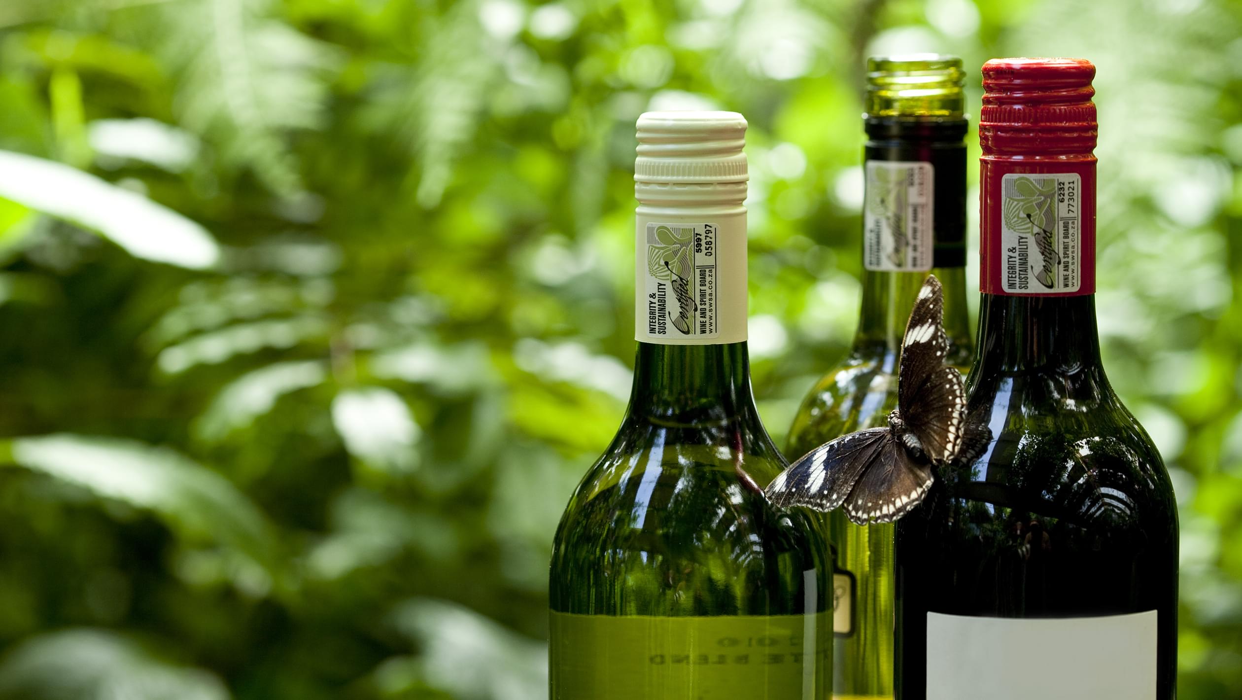 South African Wine Has Never Been Better—Have Americans Noticed ...