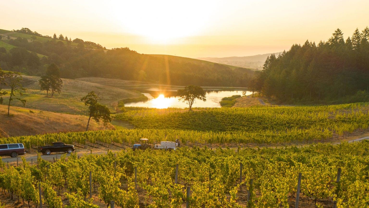 A New Chapter in Oregon’s Sparkling Wine Movement | SevenFifty Daily