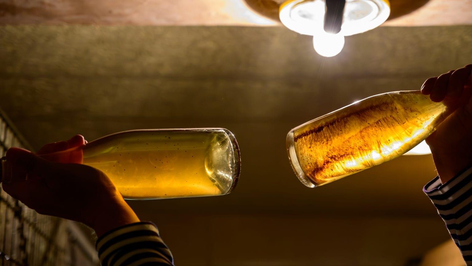 The Science of Lees Aging | SevenFifty Daily