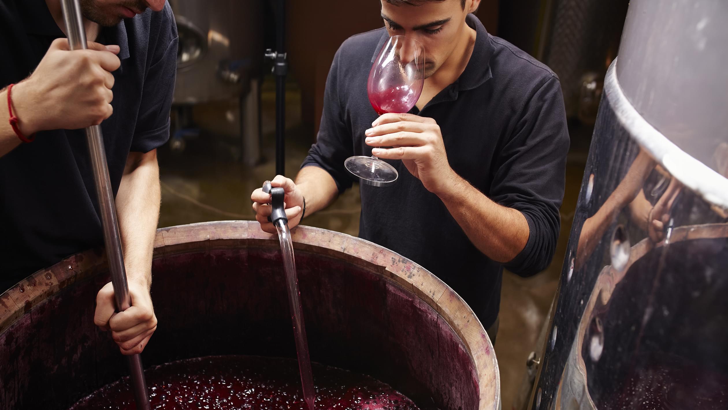 The Science Behind Reductive Aromas in Wine | SevenFifty Daily