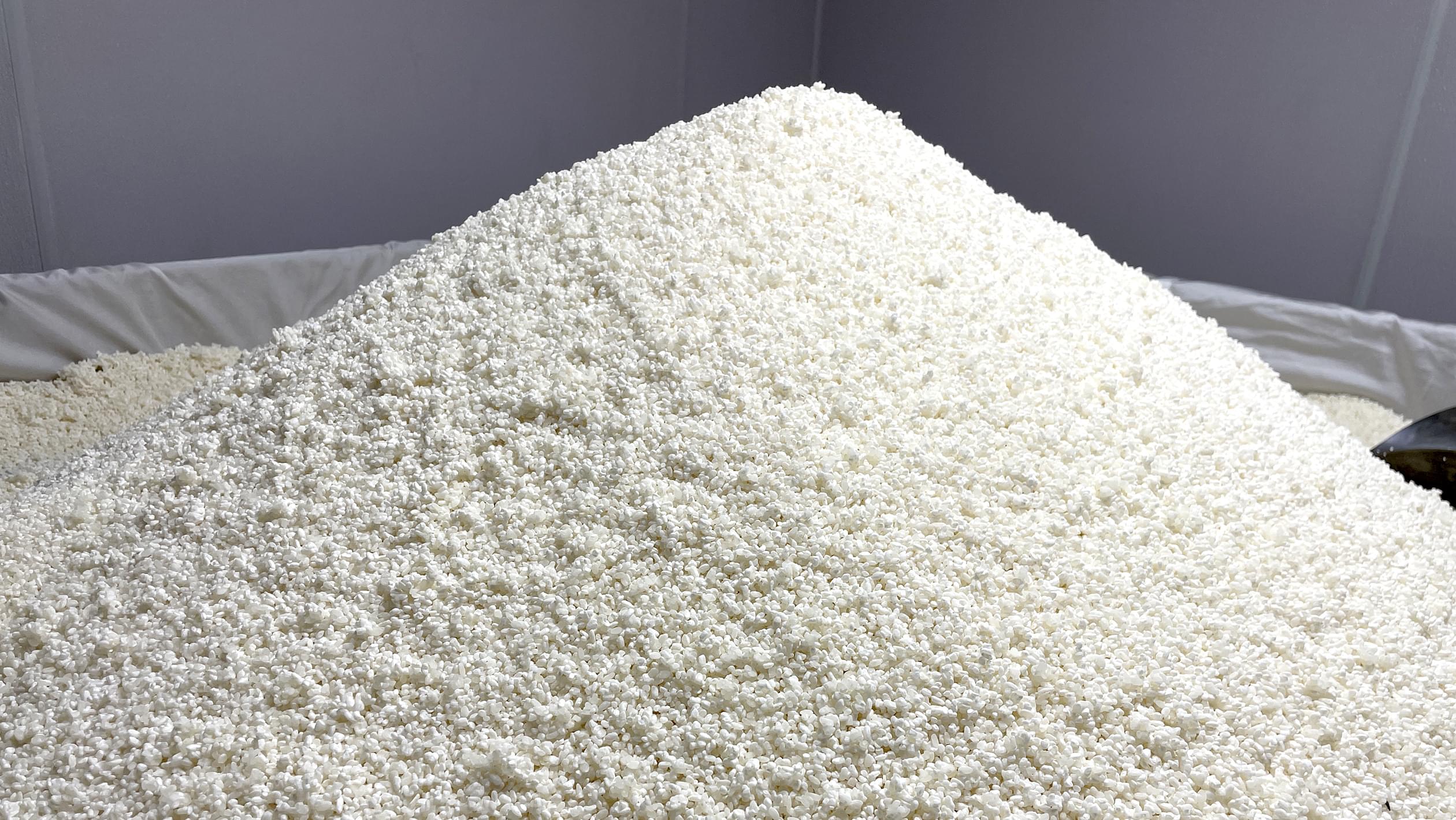 The Science of Koji in Sake Production | SevenFifty Daily