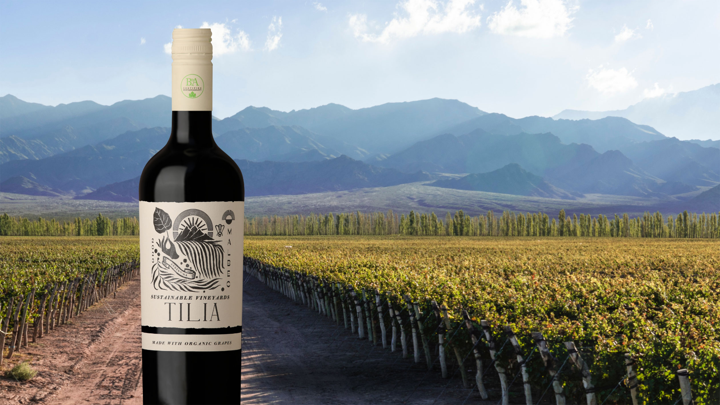 At TILIA, Sustainability is a Continuous Journey | SevenFifty Daily