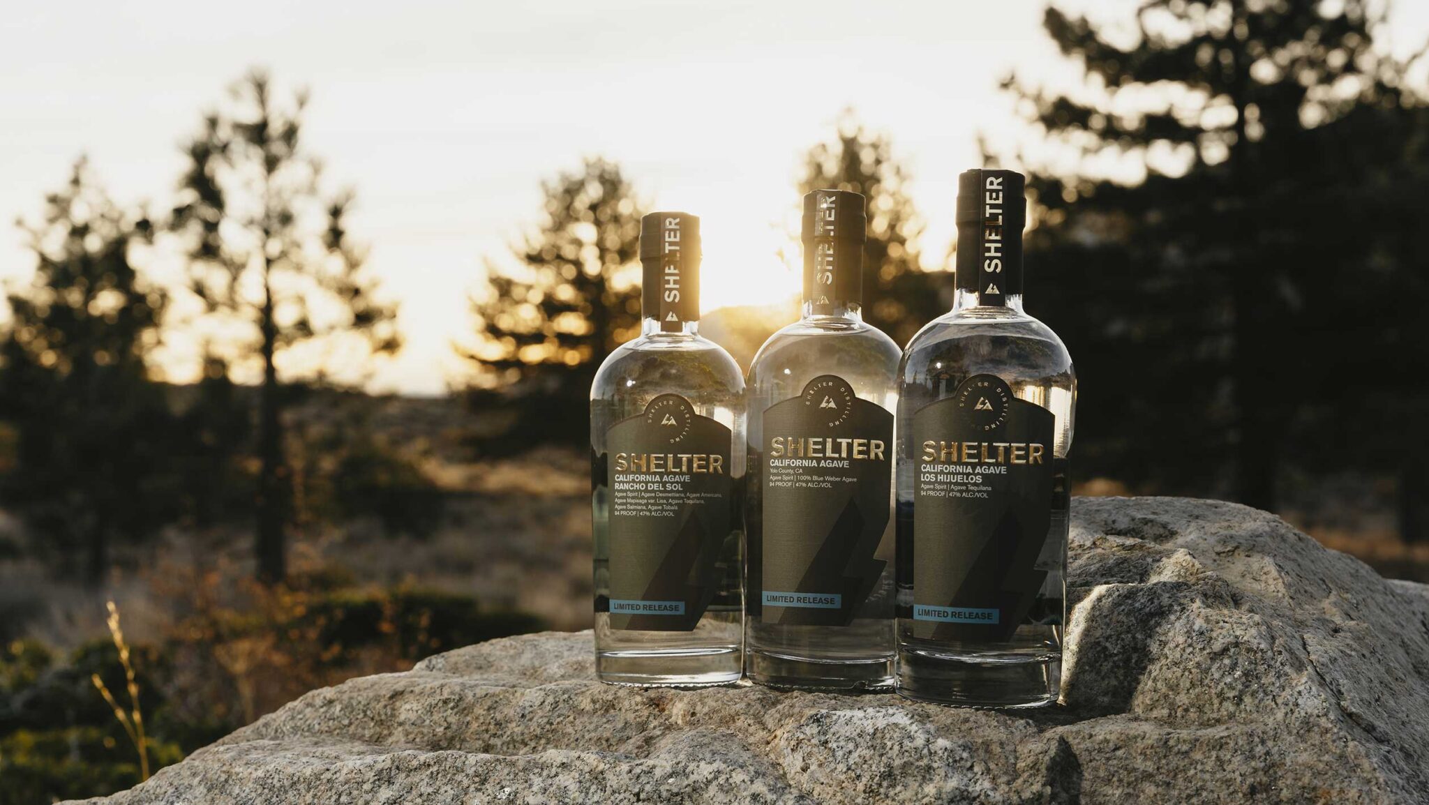 Can Non-Mexican Agave Spirits Go Mainstream? | SevenFifty Daily