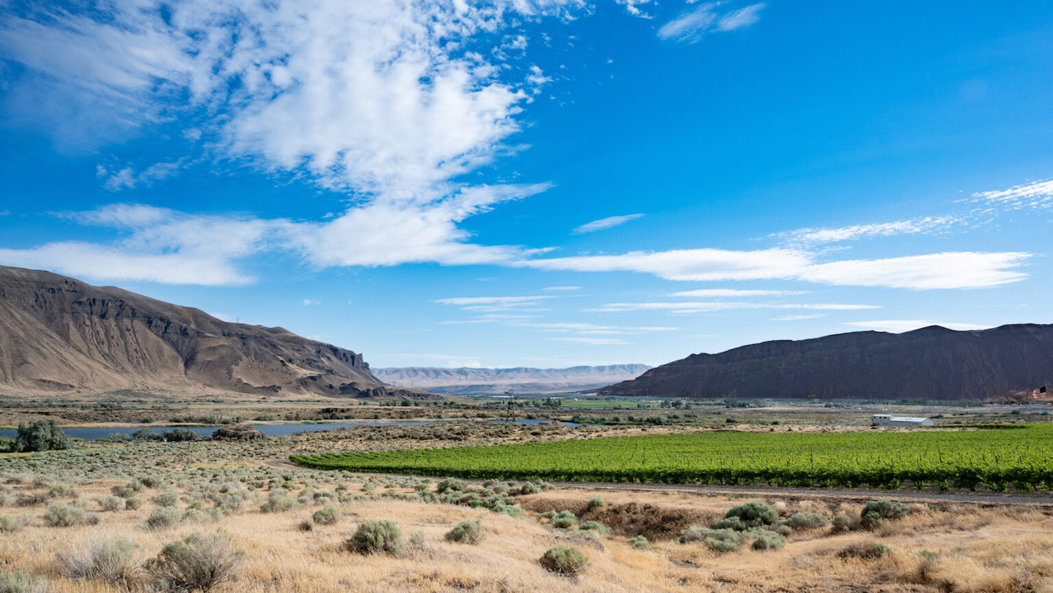 What to Know About 6 Newly Proposed AVAs | SevenFifty Daily