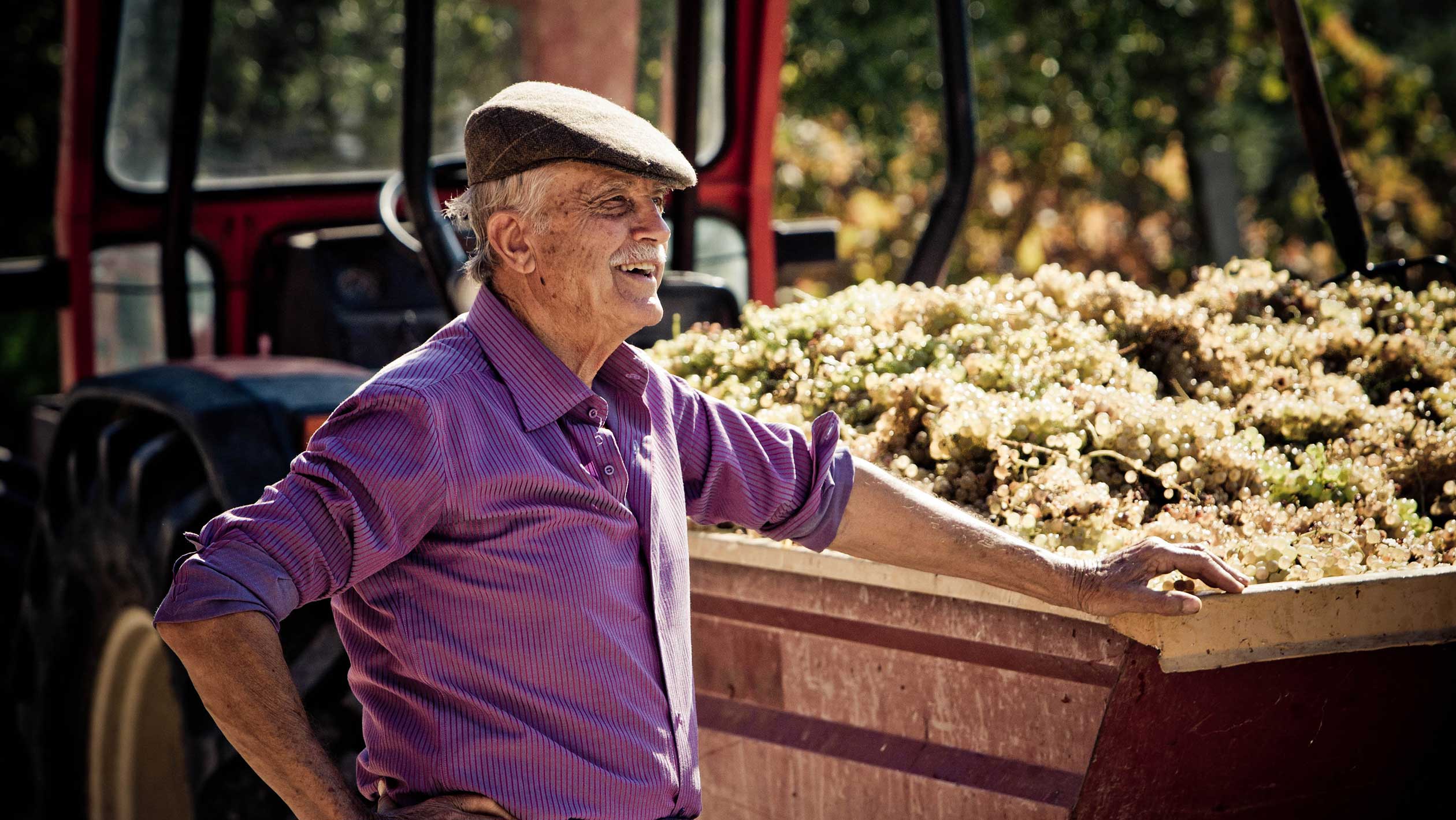 How Emidio Pepe Redefined Abruzzo Wine | SevenFifty Daily
