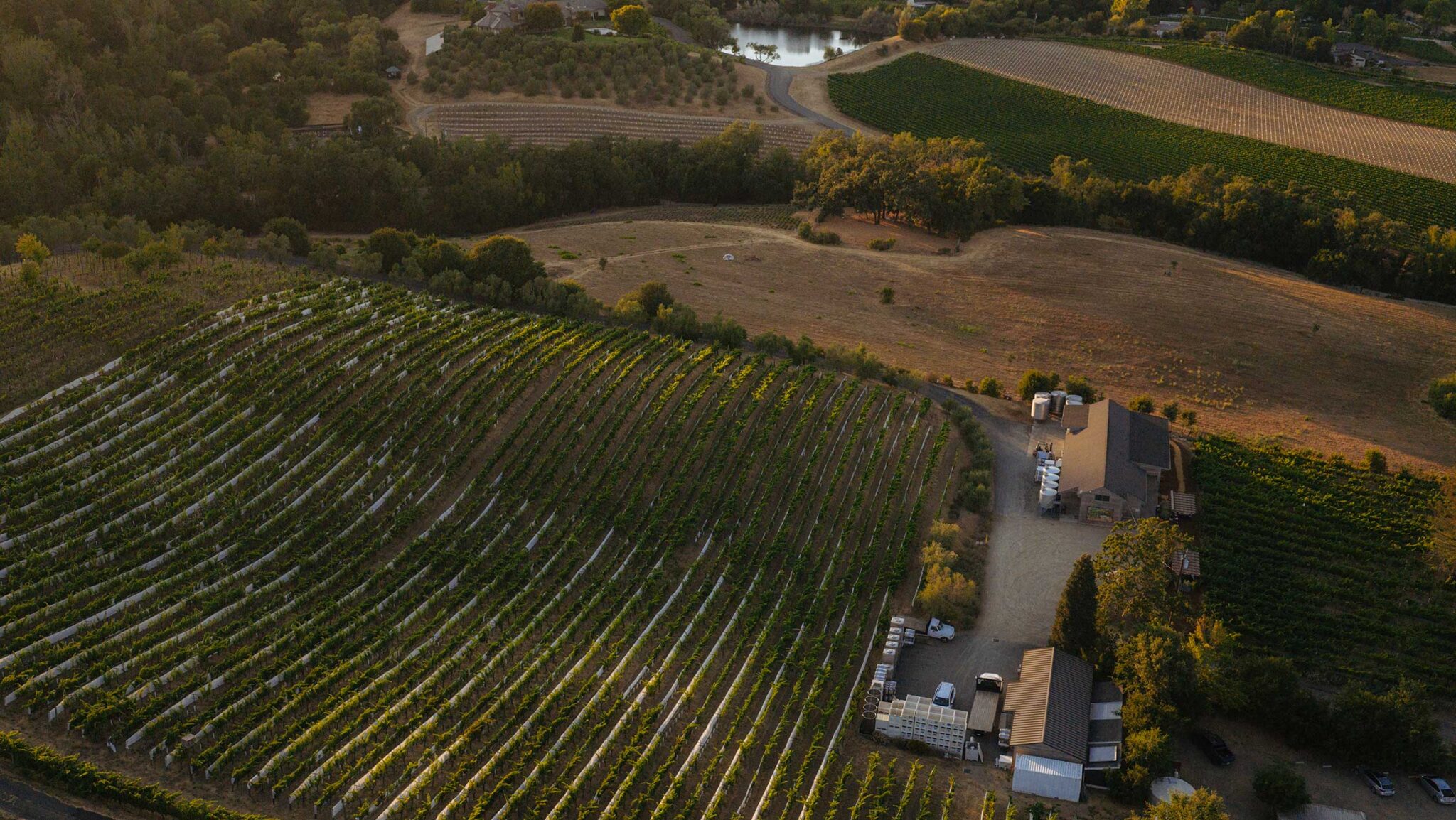 The Californian Winemaking Couple That Made Regenerative Agriculture ...