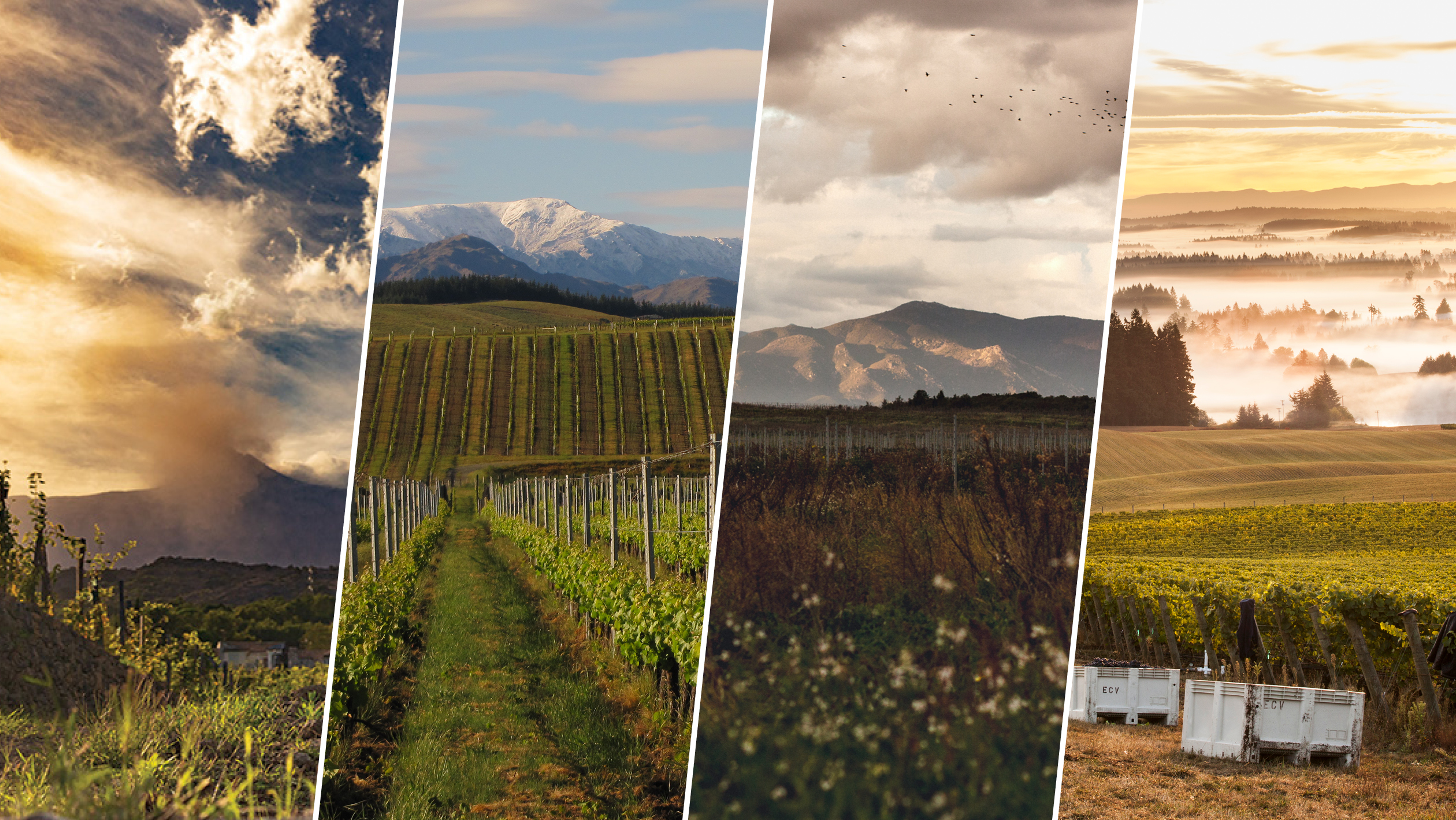 The Global Sparkling Wine Regions to Have on Your Radar in 2026 ...