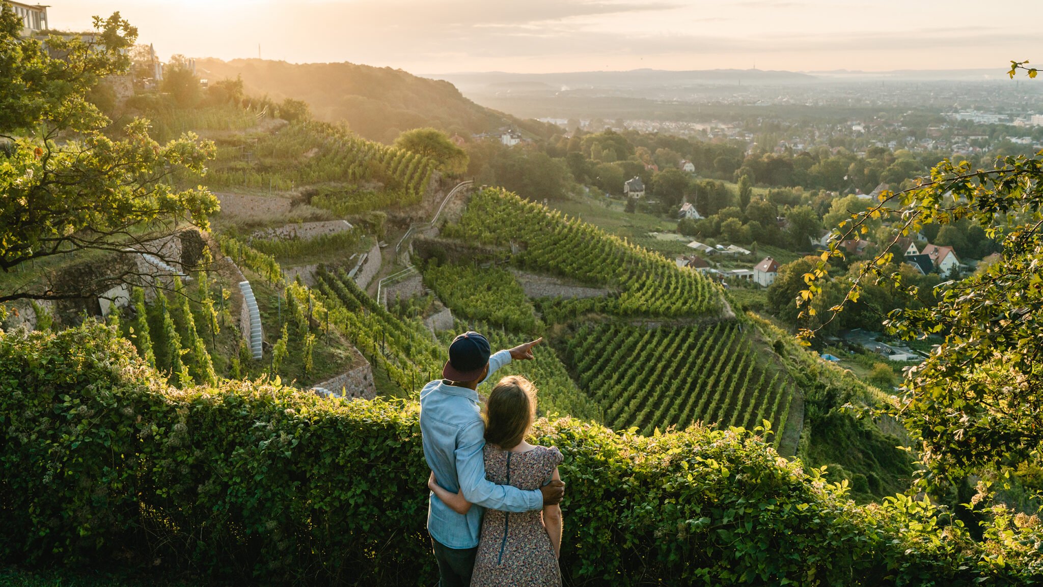 How Industry Insiders Are Rewriting the Story of German Wine in the U.S ...